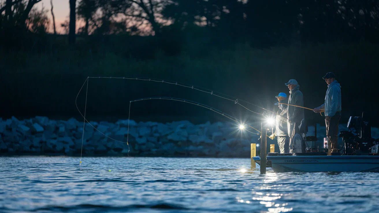 Detailed Guide to Fishing in Night - Fishing and Safety Tips