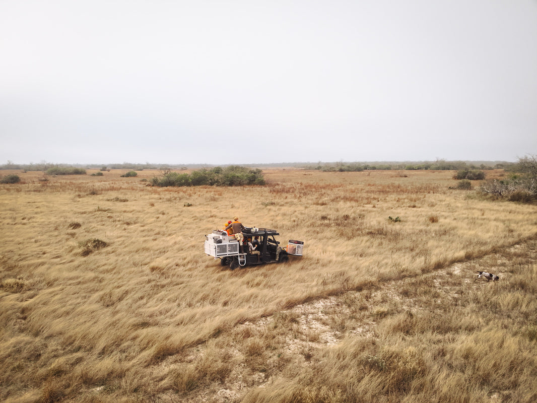 Best Upland Hunting Gear Guide - Updated 2025